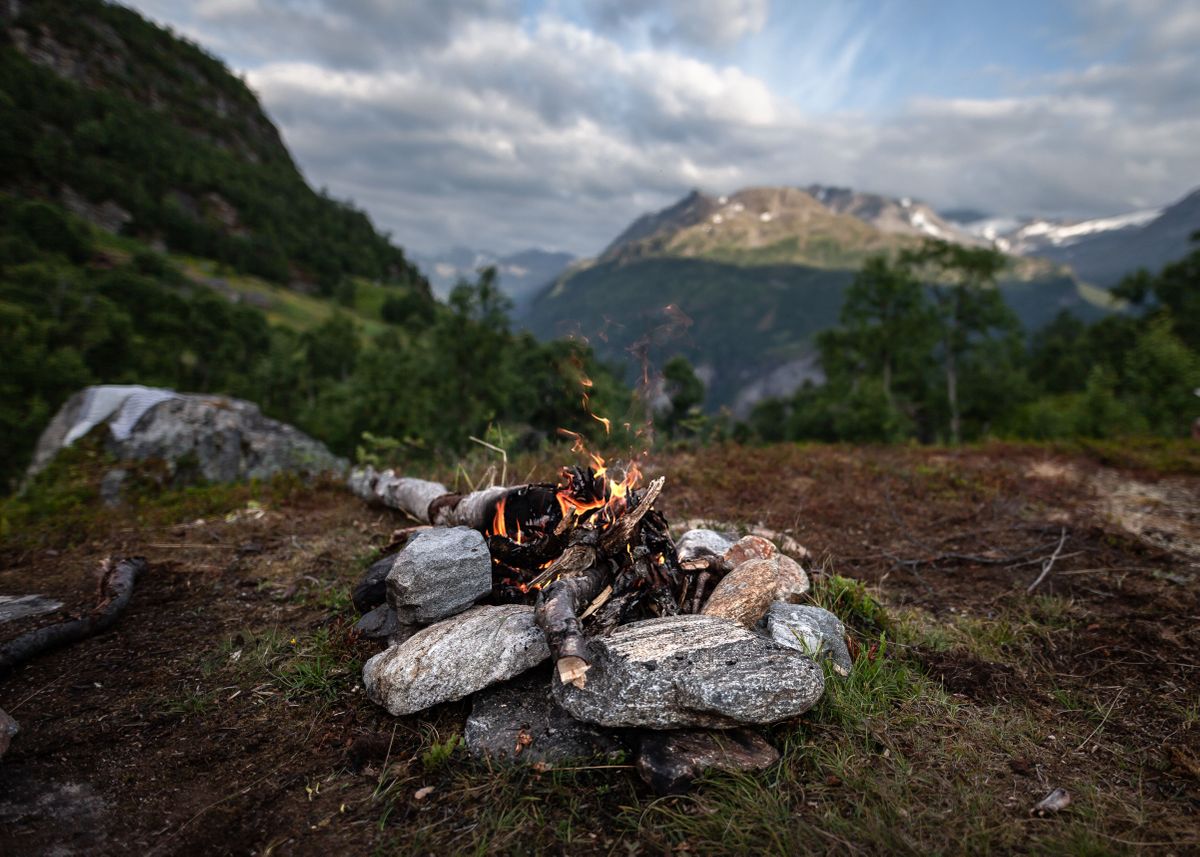 'Logfire' Poster, picture, metal print, paint by moments of | Displate