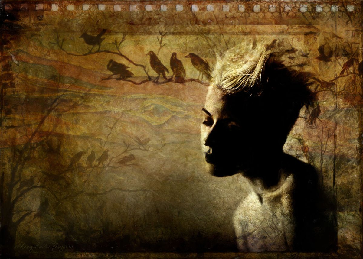 'blackbirds' Poster, picture, metal print, paint by Meaghan Pryor ...