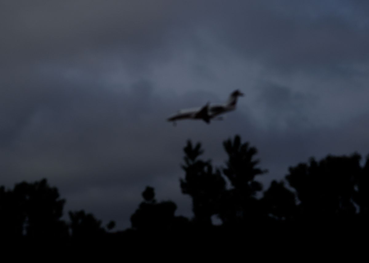 'Night Rider' Poster, picture, metal print, paint by Al | Displate