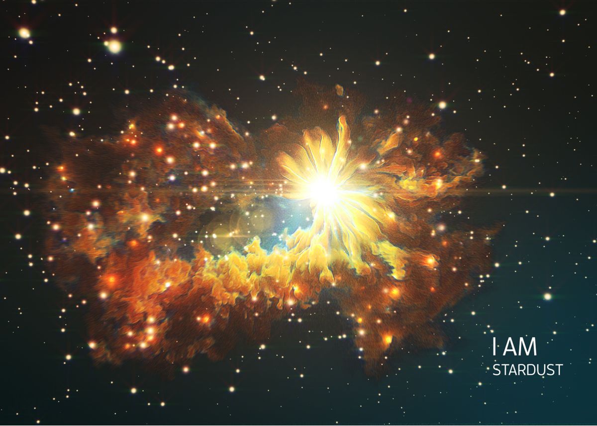 'I AM STARDUST' Poster, picture, metal print, paint by Efo Omede | Displate