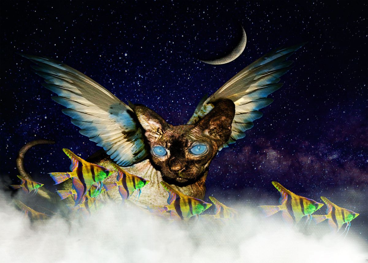 'Kitty Dreams' Poster, picture, metal print, paint by Diana Shively ...