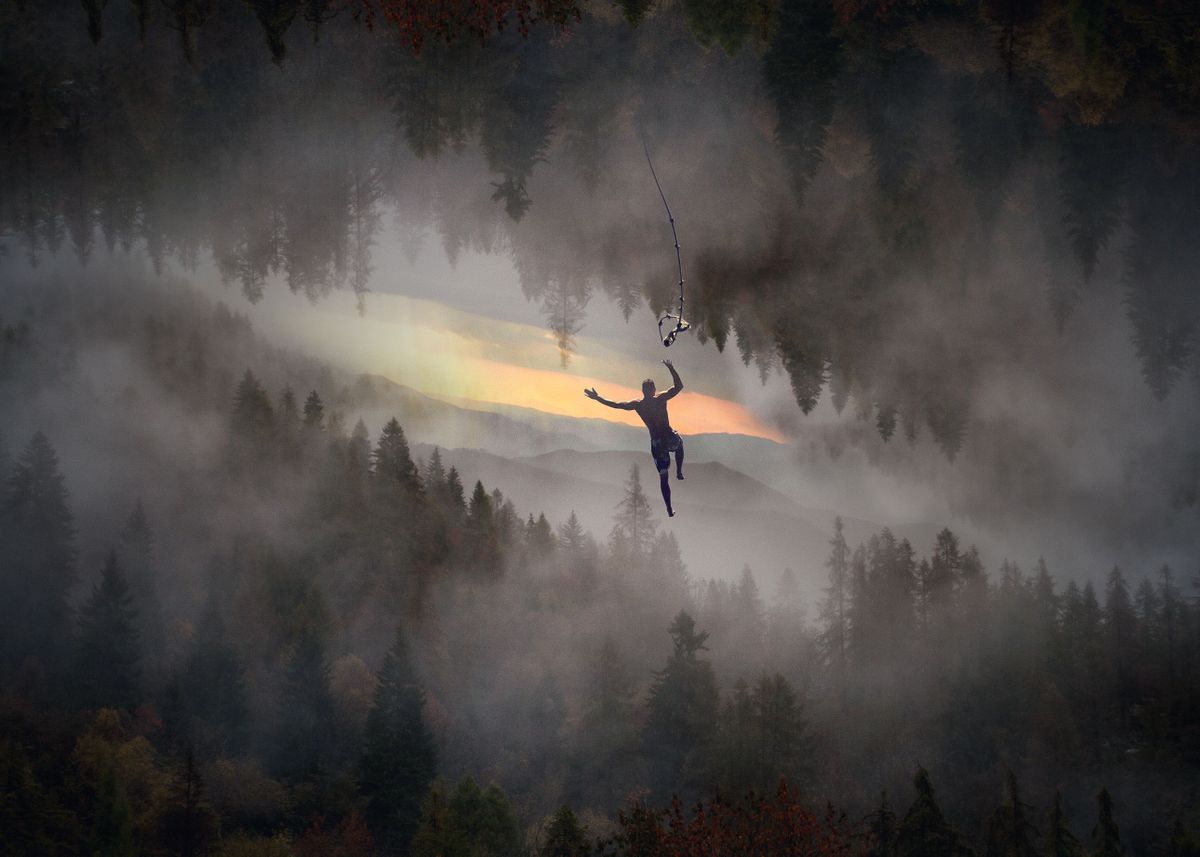 'Forest ' Poster, picture, metal print, paint by Patryk Andrzejewski | Displate