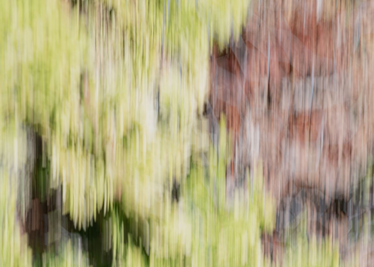 'Rain forest 1 ' Poster, picture, metal print, paint by David Campling ...