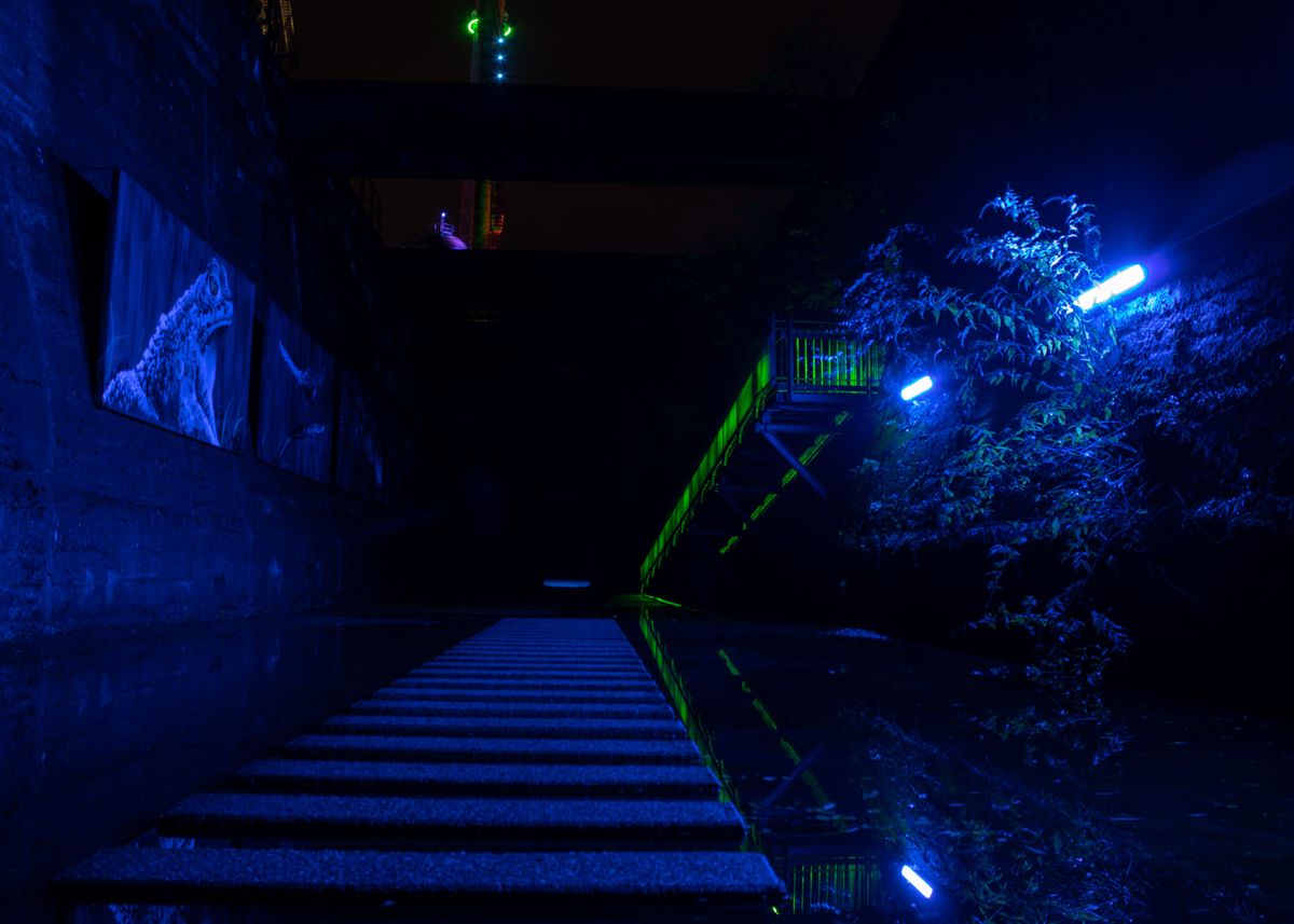 'The Blue Room' Poster, picture, metal print, paint by Zyriak | Displate