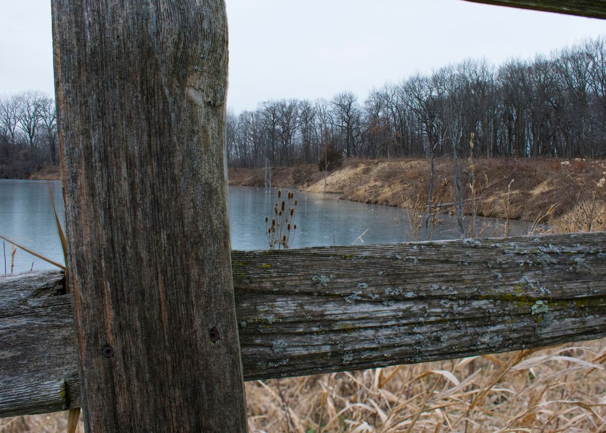 'Ice Cold' Poster, picture, metal print, paint by Xavier Villarreal ...