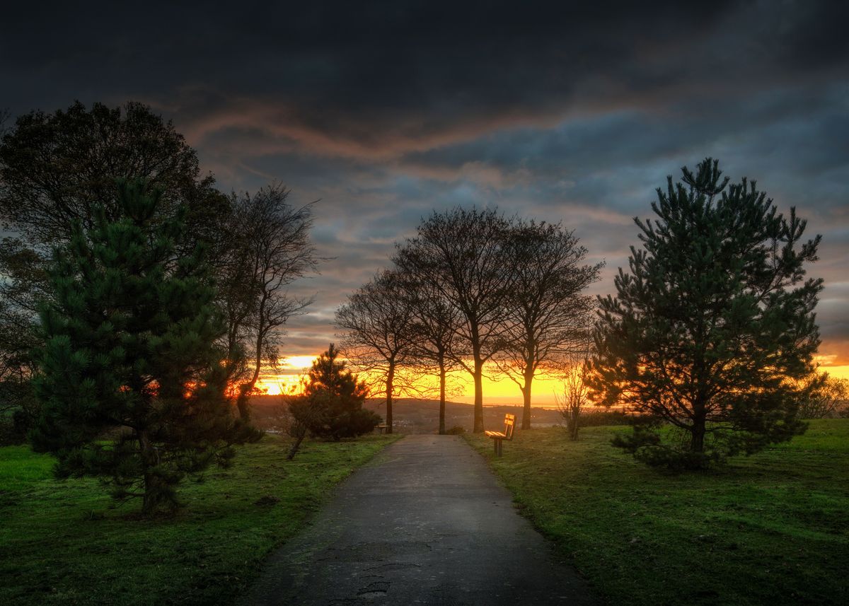 'Evening at Ravenhill park' Poster, picture, metal print, paint by ...