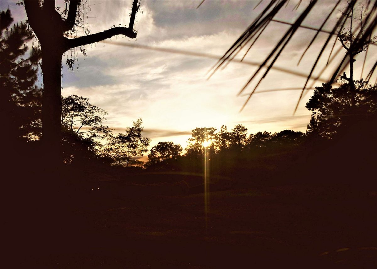 'Last Light' Poster by Enzo Lopez | Displate