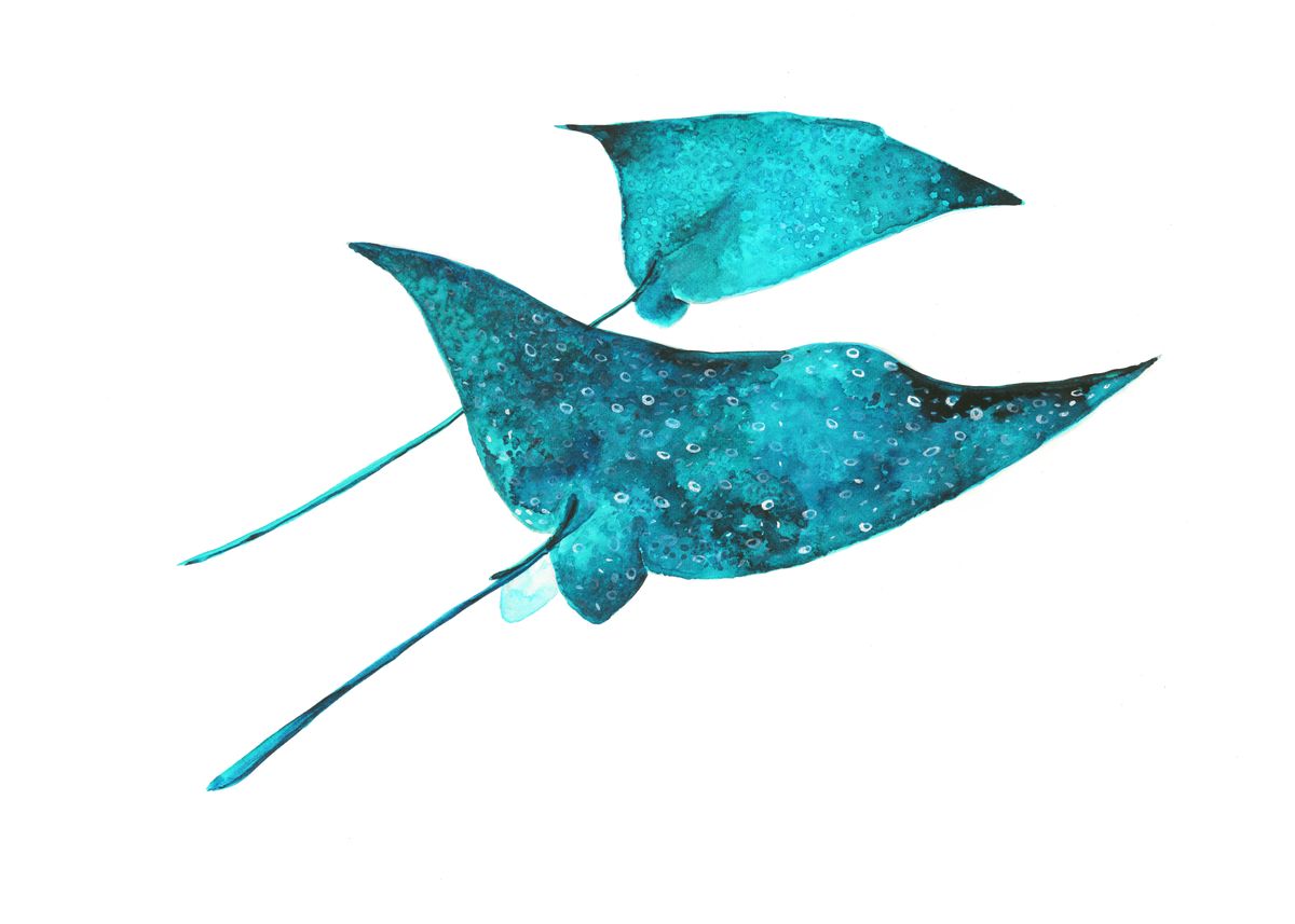 'Green Stingrays' Poster by Louise Kanefuku | Displate