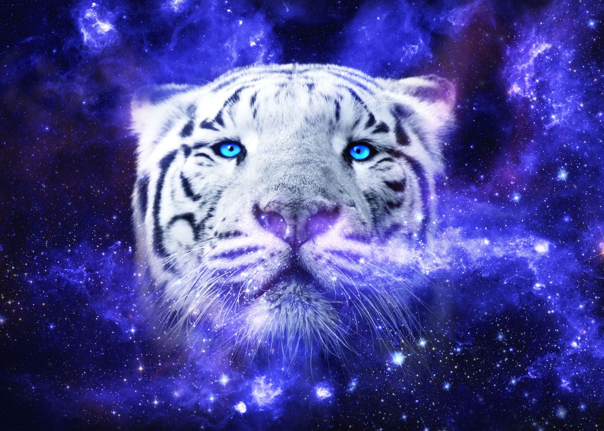 'White Tiger Nebula ' Poster, picture, metal print, paint by nogar007 ...