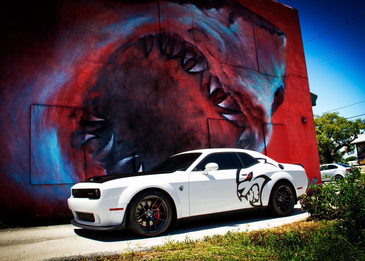 'Hellcat art ' Poster, picture, metal print, paint by Joseph Parrish ...