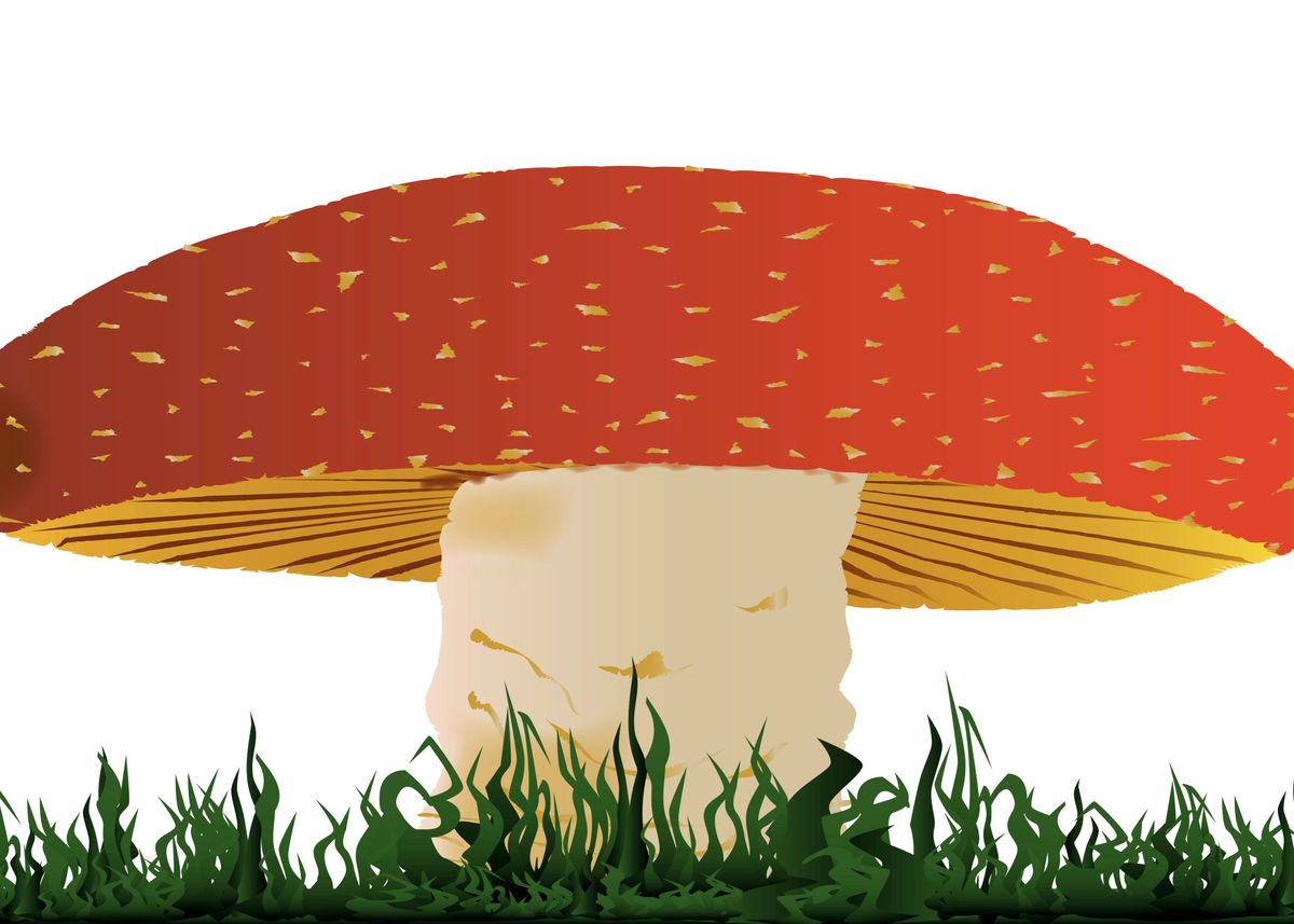 'Toadstool' Poster, picture, metal print, paint by HomeStead Digital ...