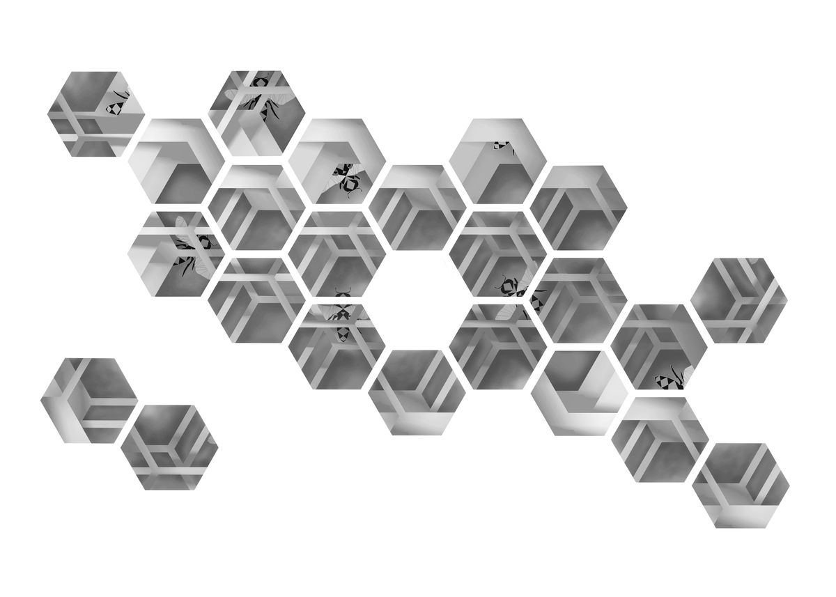 'Honeycomb' Poster, picture, metal print, paint by Tristan ...