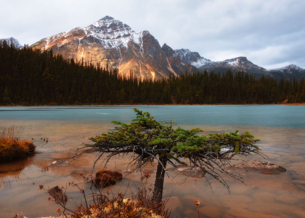 'Cavell Lake Canada' Poster, picture, metal print, paint by Colin Bax ...