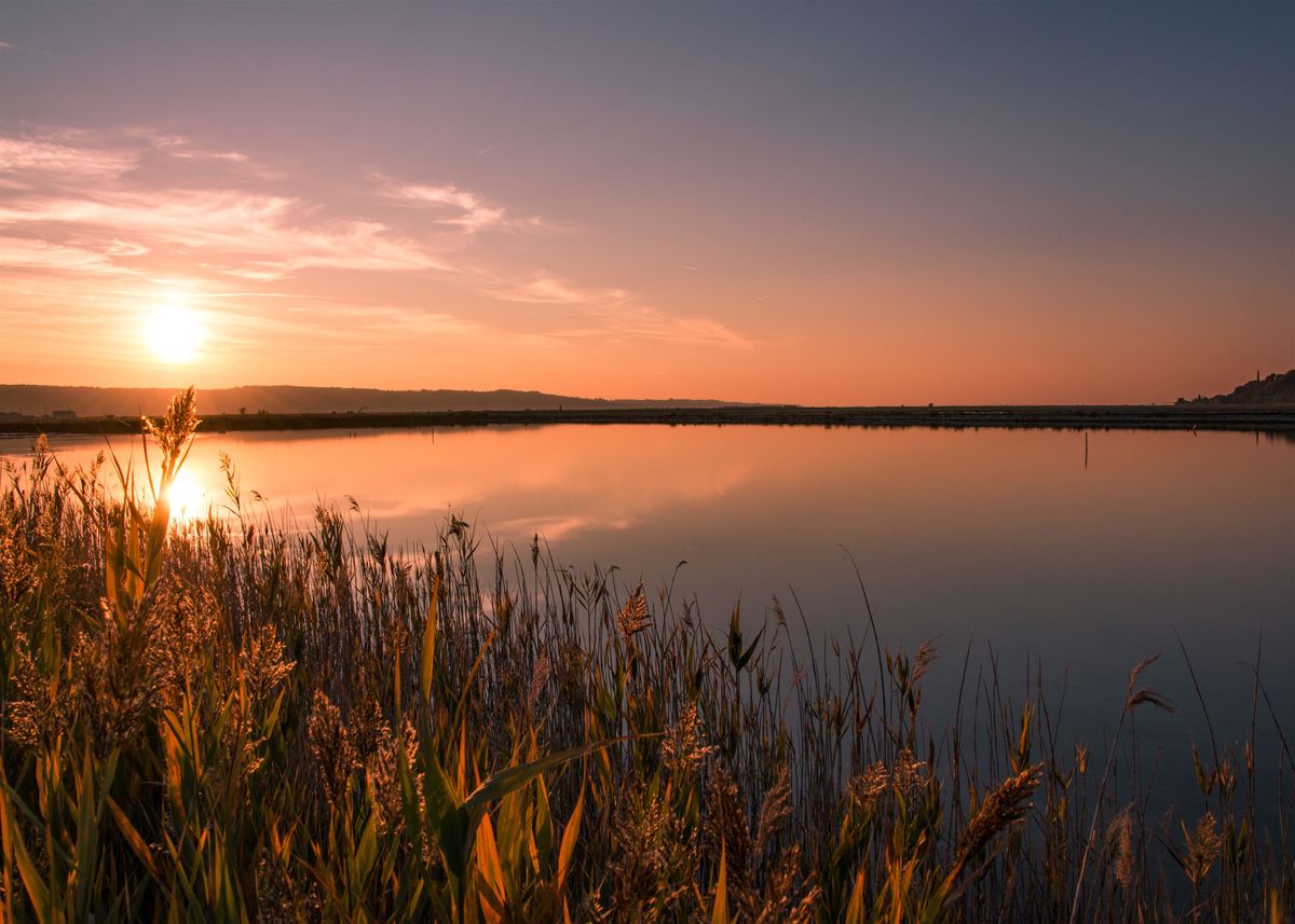 'Soline By Night' Poster, picture, metal print, paint by Create ...