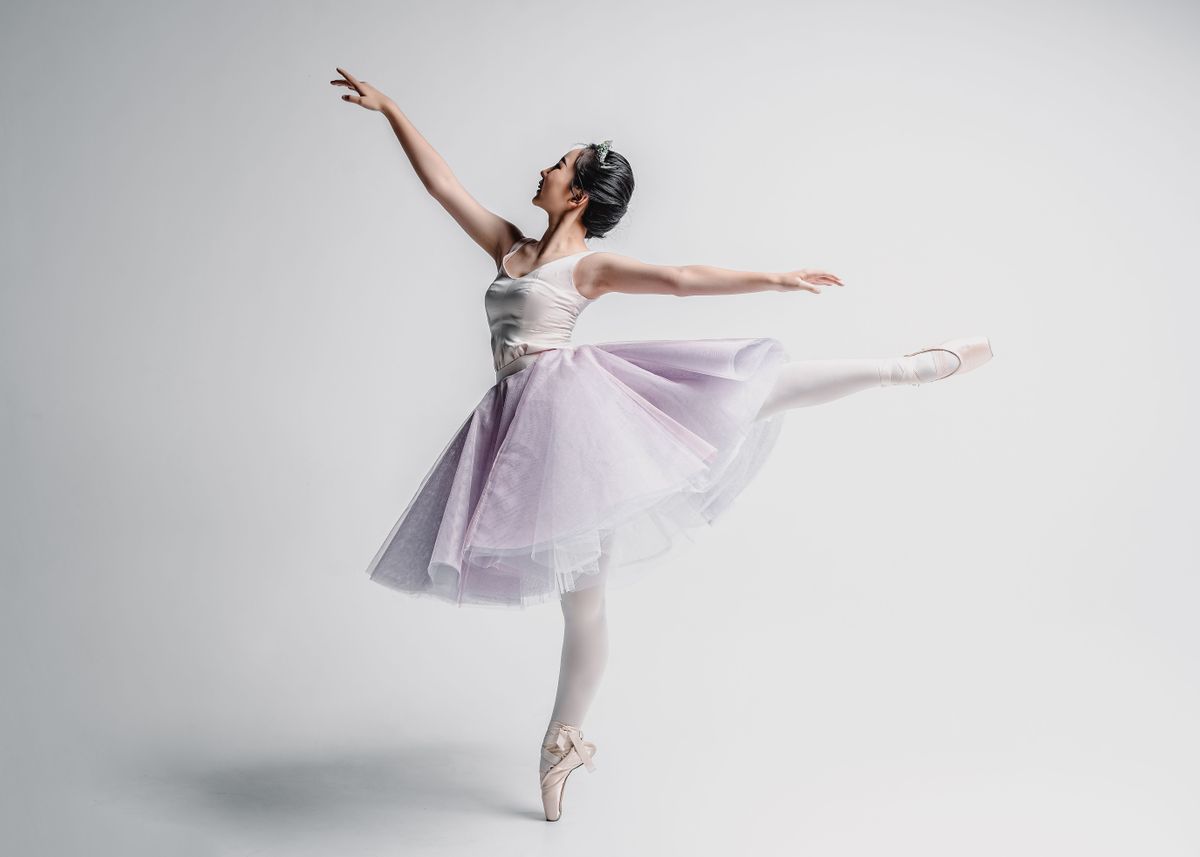 'Yuki and Ballet' Poster, picture, metal print, paint by David Sala ...