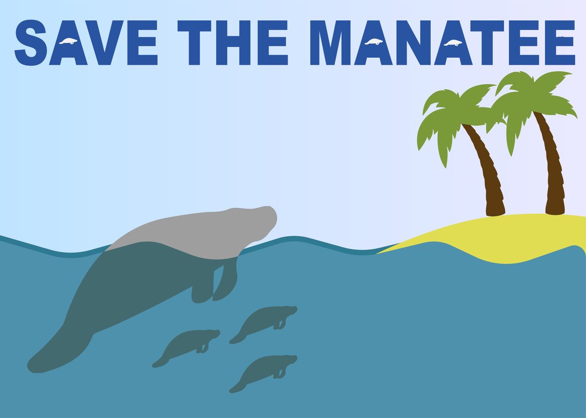'Save the Manatee' Poster, picture, metal print, paint by Sam Cobin ...