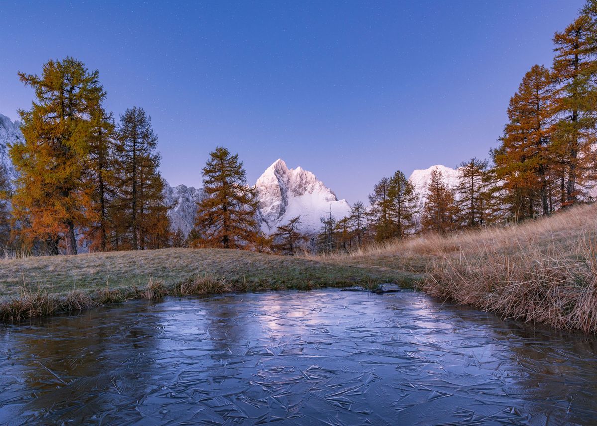 'Spica Stars' Poster by Create Purkarthofer | Displate