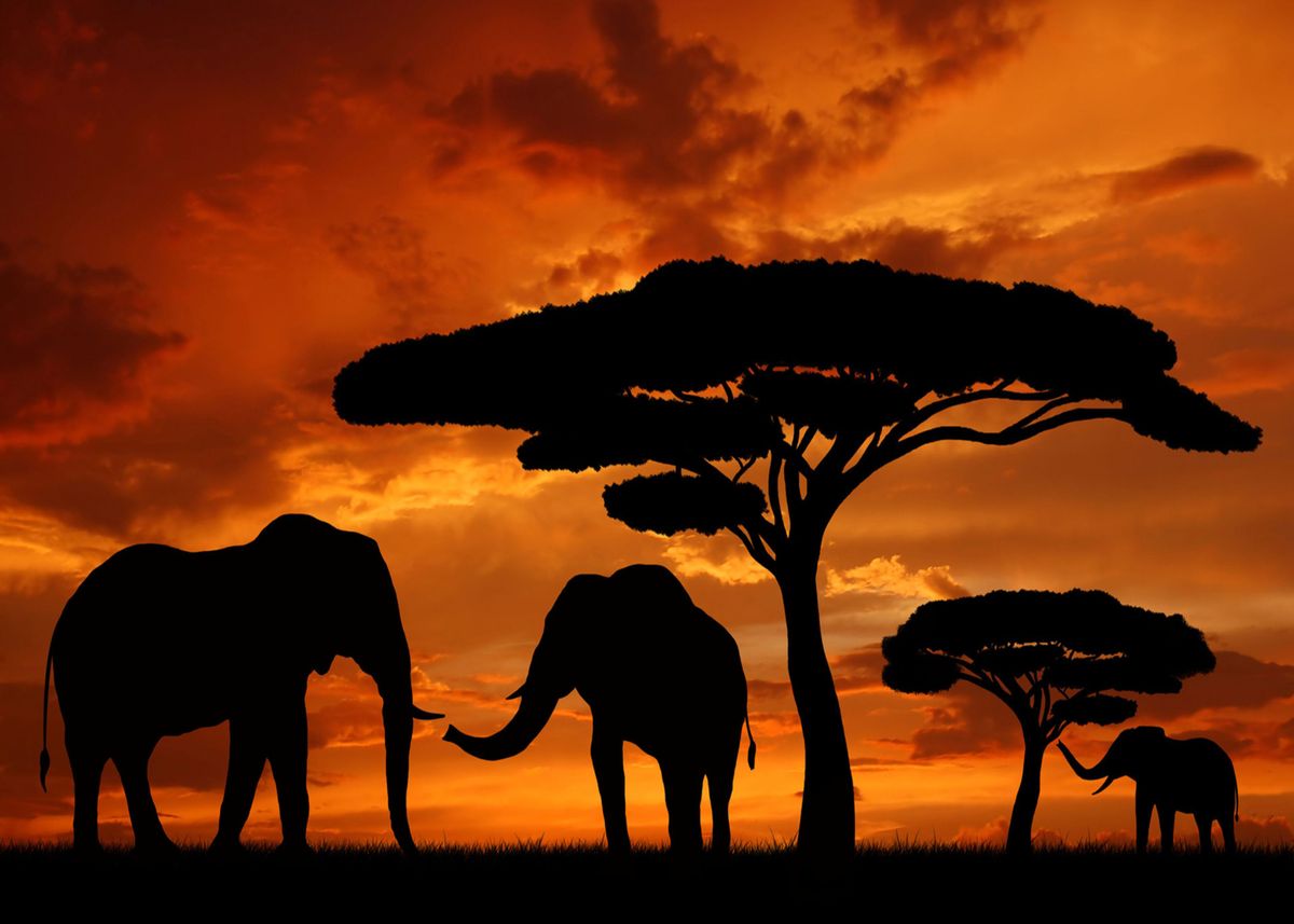 'Ndovu Elephant' Poster, picture, metal print, paint by Timothy Kariuki ... 'Ndovu Elephant' Poster, picture, metal print, paint by Timothy Kariuki ...