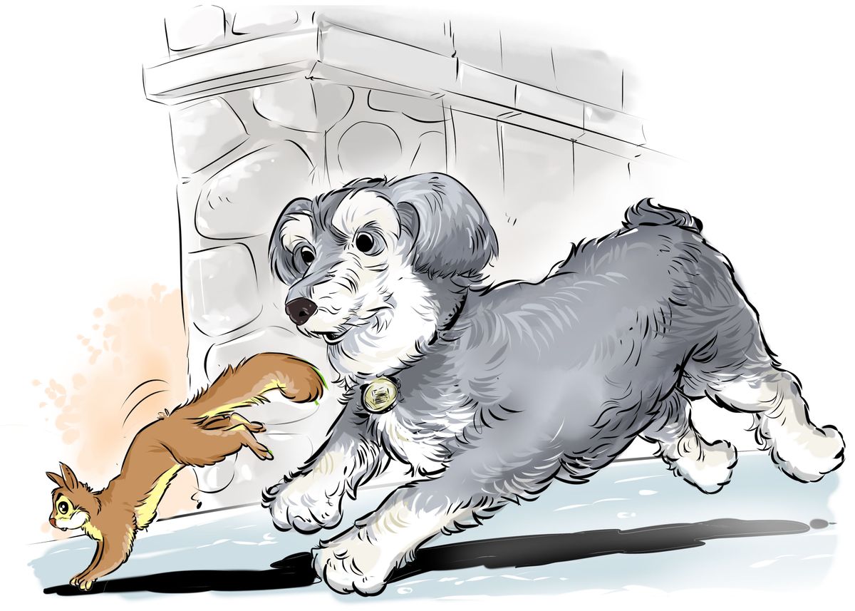 'dog run catching squirrel' Poster, picture, metal print, paint by dam ...