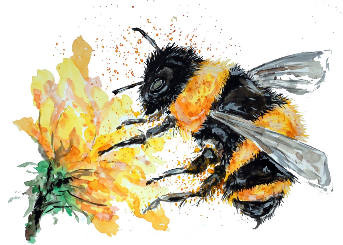 'Bumble Bee collects Pollen' Poster, picture, metal print, paint by ...