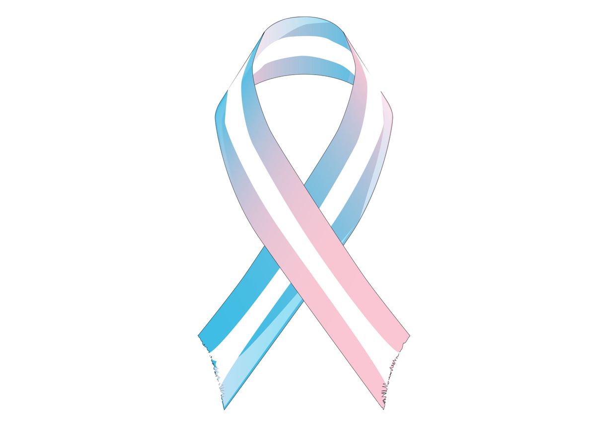 'Transgender Awareness' Poster, picture, metal print, paint by ...