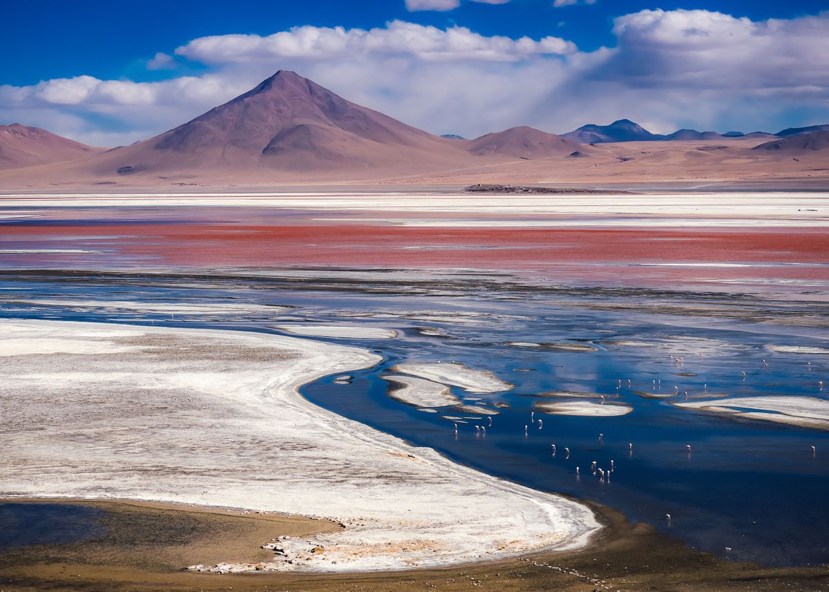 'Red Lagoon' Poster, picture, metal print, paint by Stefan Becker ...