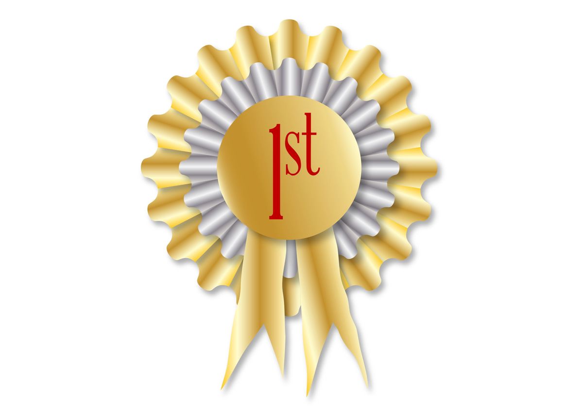 'First Prize Rosette' Poster, picture, metal print, paint by HomeStead ...