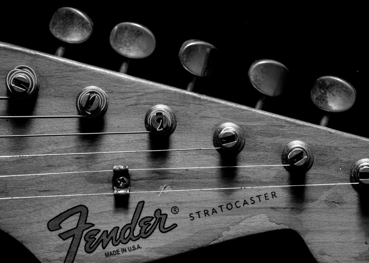 'Fender Stratocaster' Poster, picture, metal print, paint by Ian ...
