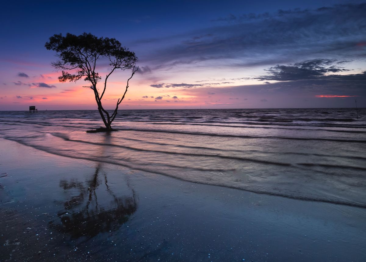 'Three near water ' Poster, picture, metal print, paint by Sobalvarro ...