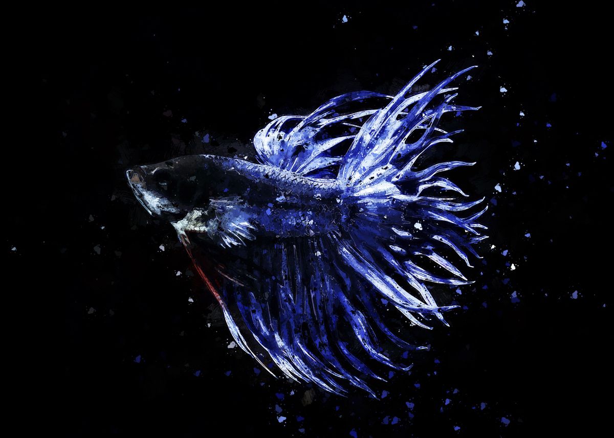 'Combtail Fighting Fish' Poster, picture, metal print, paint by cuplizx ...