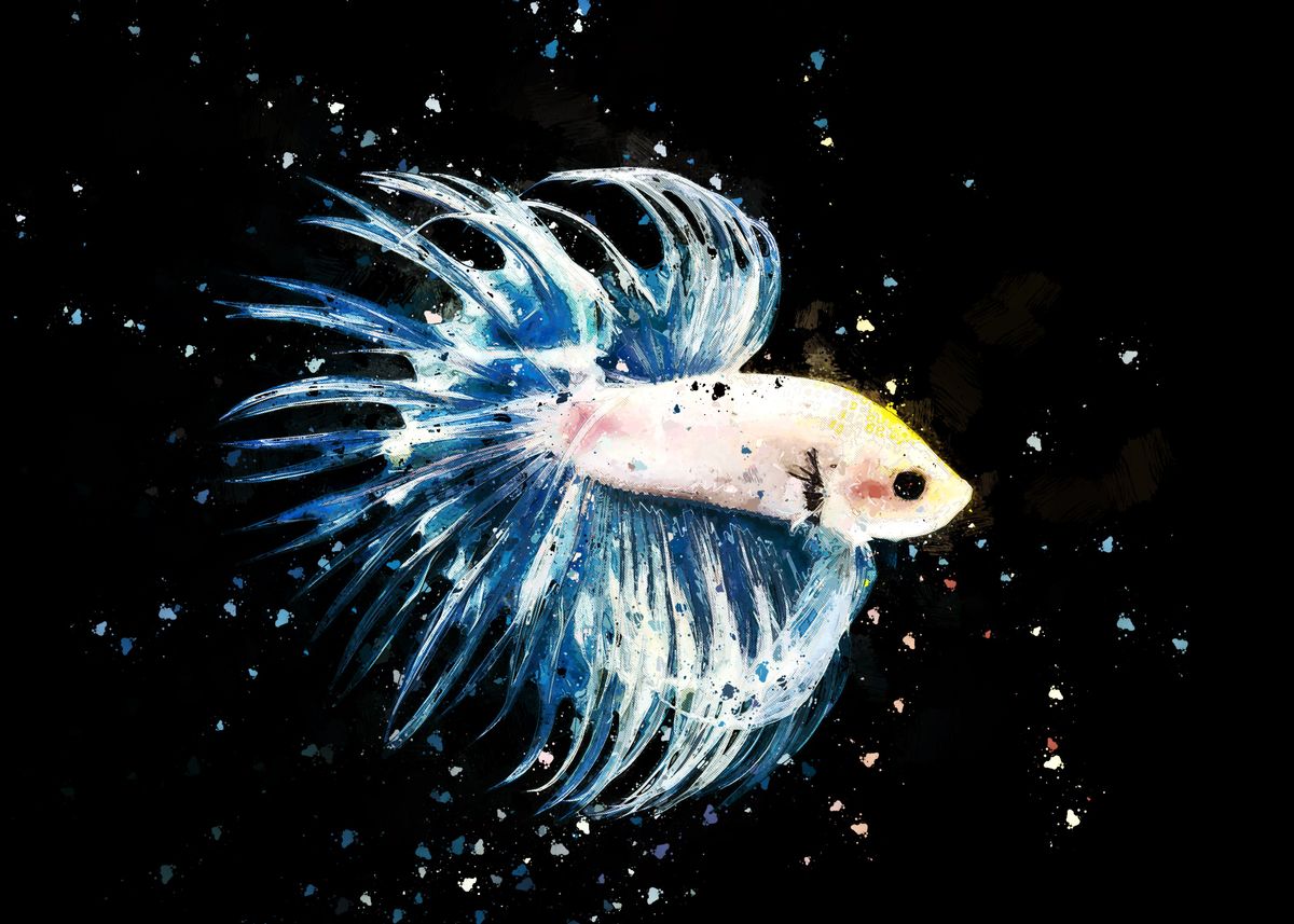 'White Fighting Fish' Poster, picture, metal print, paint by cuplizx ...