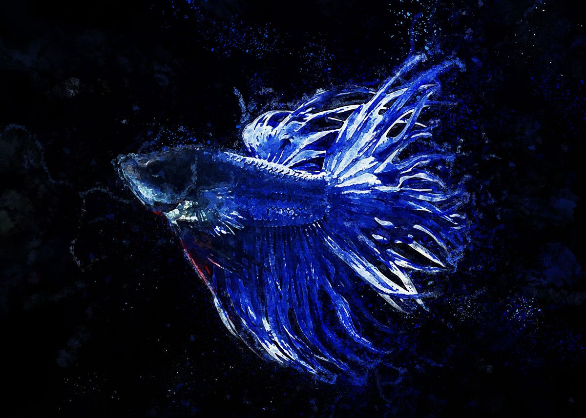 'Combtail Siamese Fish' Poster, picture, metal print, paint by cuplizx ...