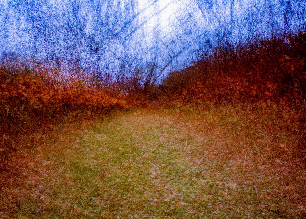 'Impasse' Poster, picture, metal print, paint by The Evening | Displate
