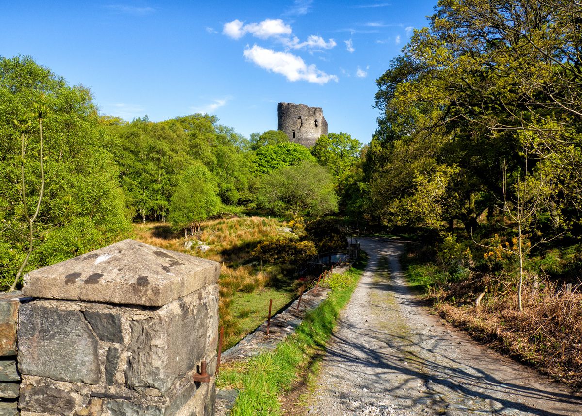 'Dolbadarn castle' Poster, picture, metal print, paint by Matteo Franzi ...