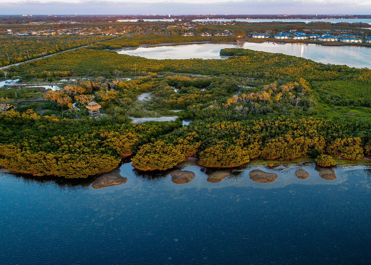 'Neal Preserve Bradenton FL' Poster, picture, metal print, paint by ...