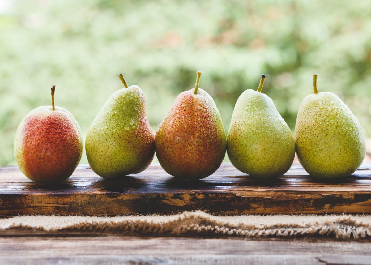 'Fresh Forelle pear' Poster by TaTu Art | Displate