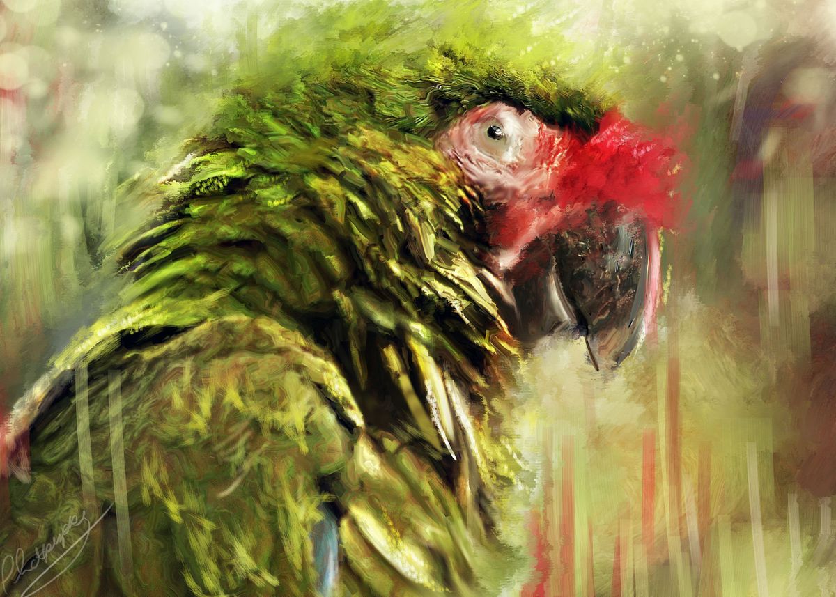 'Fear No Parrot' Poster, picture, metal print, paint by Claudia ...