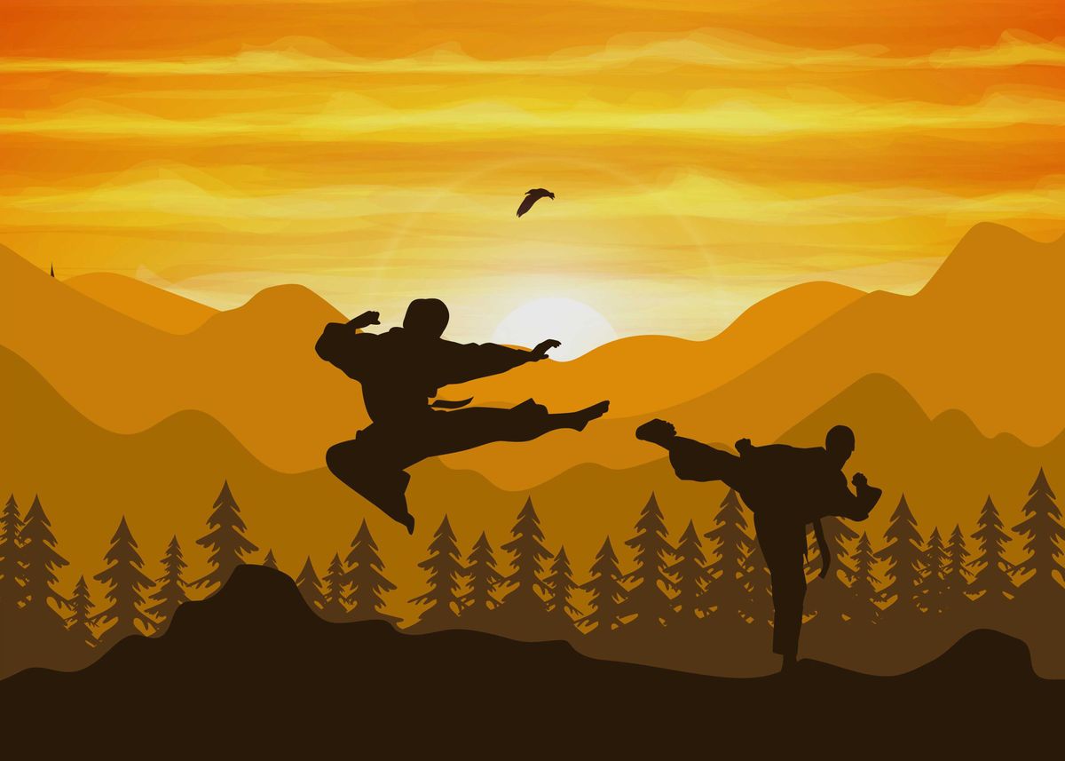 'martial art fight' Poster, picture, metal print, paint by dam art ...