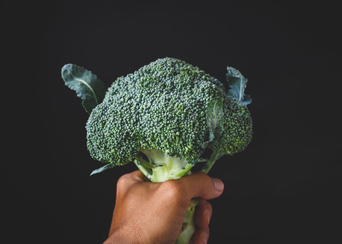 'Fresh broccoli' Poster, picture, metal print, paint by TaTu Art | Displate