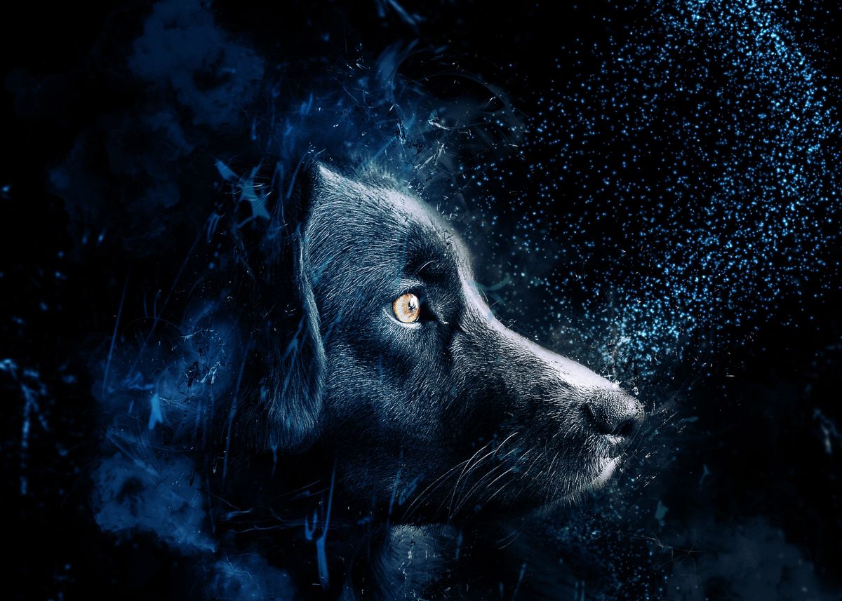 'black dog on light' Poster, picture, metal print, paint by dam art ...