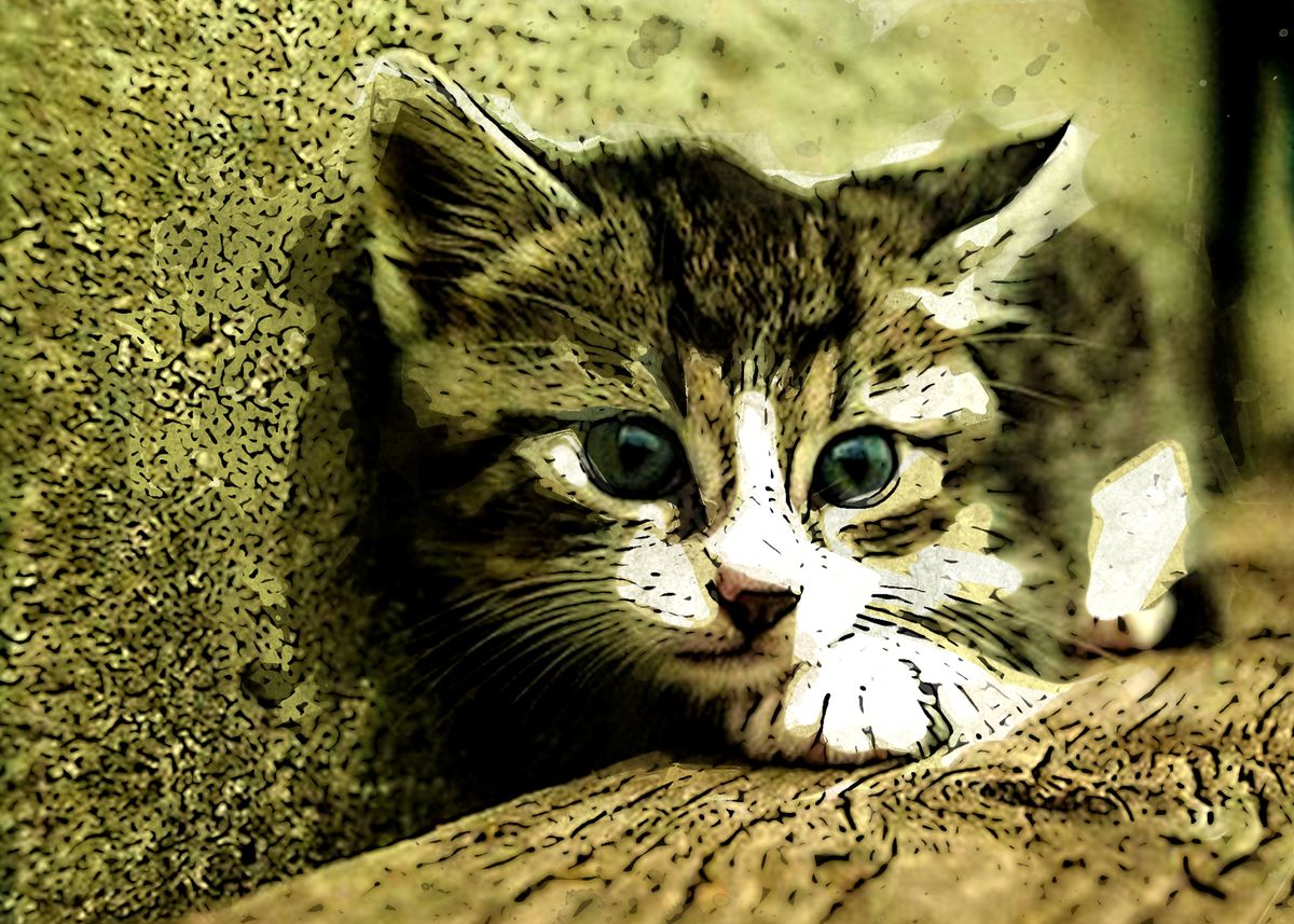 'Spy Kitty' Poster, picture, metal print, paint by ISAAC SEYMOUR | Displate