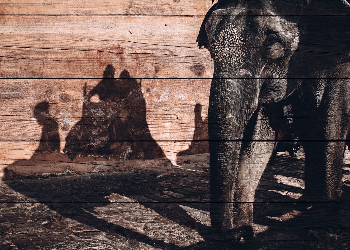 'Elephant Art' Poster by Clayborne Frank | Displate