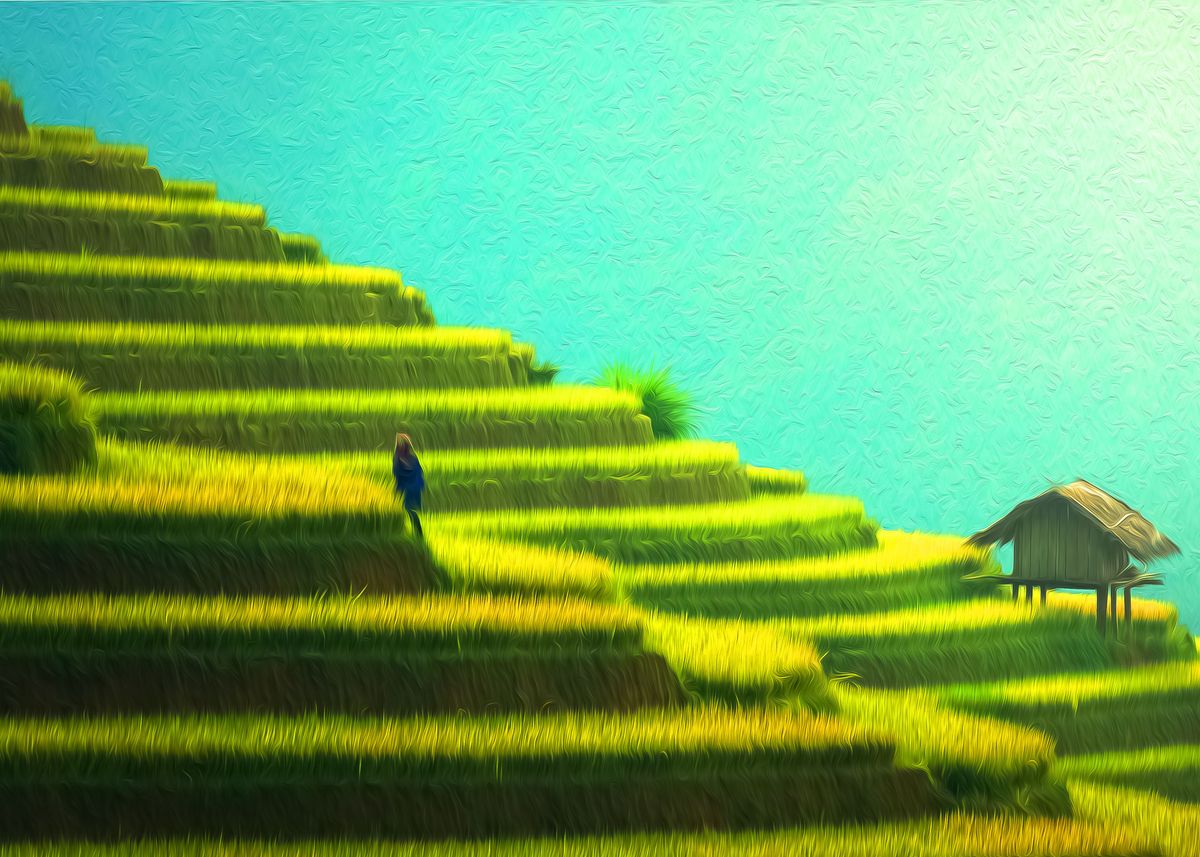 'Rice Fields' Poster, picture, metal print, paint by Wall Art Physical ...