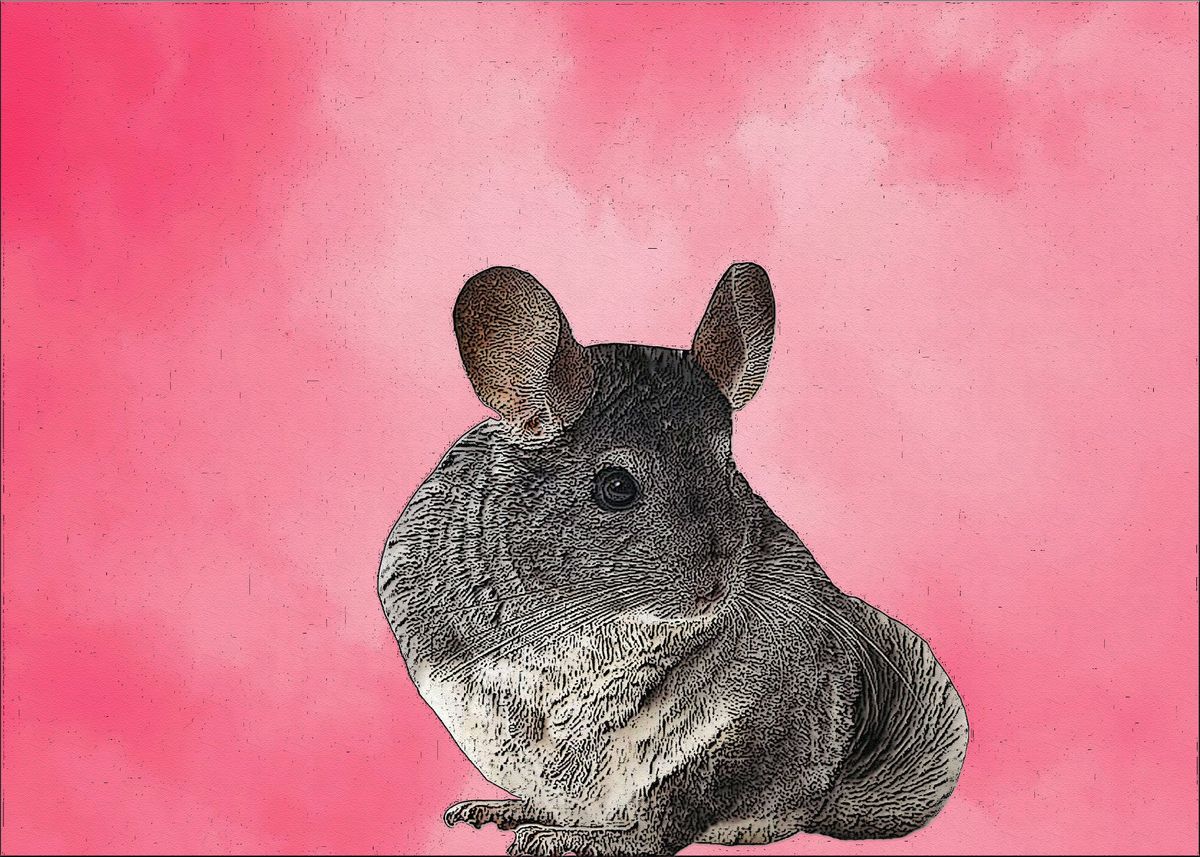 'Chinchilla pink' Poster, picture, metal print, paint by micah | Displate