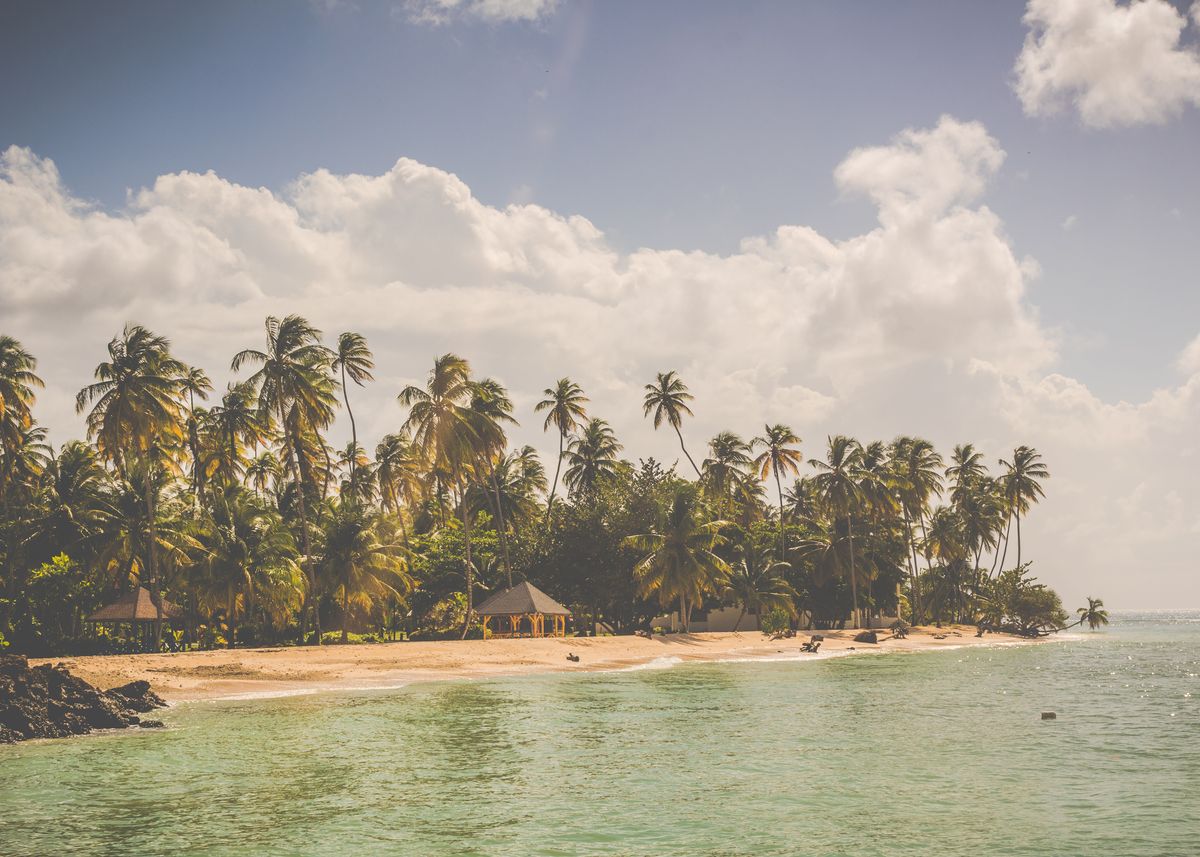 'Pigeon Point' Poster, picture, metal print, paint by PATRICE SADAPHAL ...