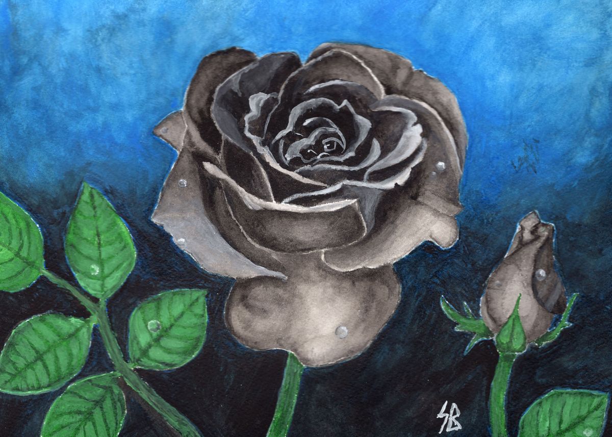 'Black Rose' Poster, picture, metal print, paint by Shaun Bonkowski ...