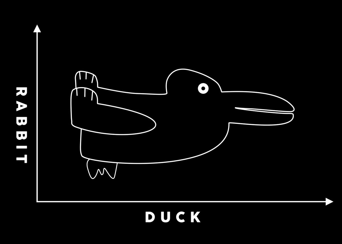 'duck rabbit illusion' Poster, picture, metal print, paint by ...