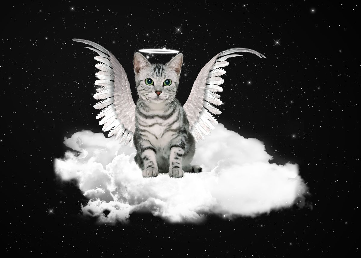 'Gray Tabby Angel Cat' Poster, picture, metal print, paint by Doreen ...