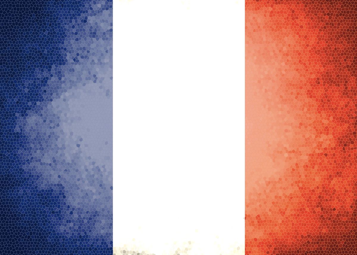 'France vintage flag' Poster, picture, metal print, paint by Mad Crabs ...