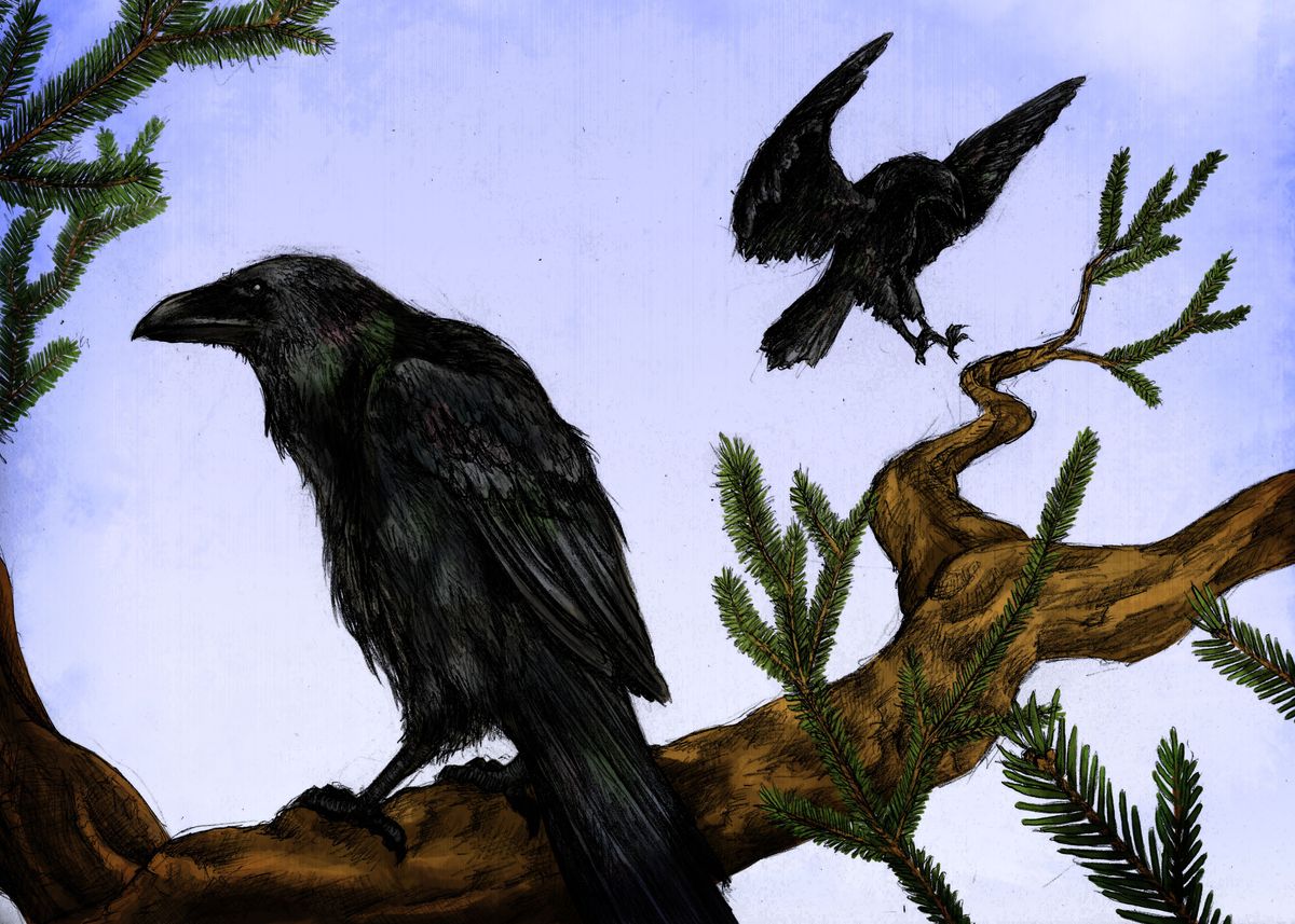 'Hugin and Munin' Poster, picture, metal print, paint by AniaArt | Displate